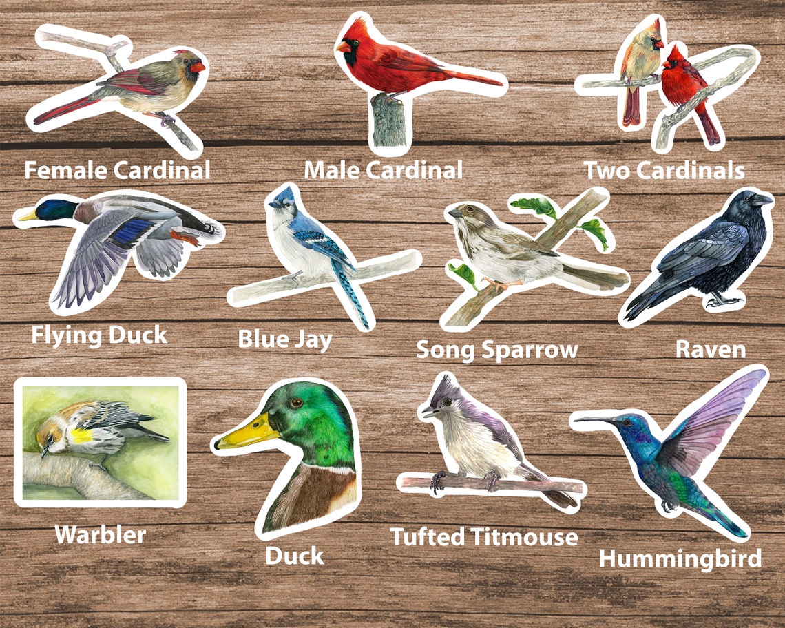 Mallard Duck Sticker, Flying Duck Sticker, Vinyl Laminated Die Cut ...