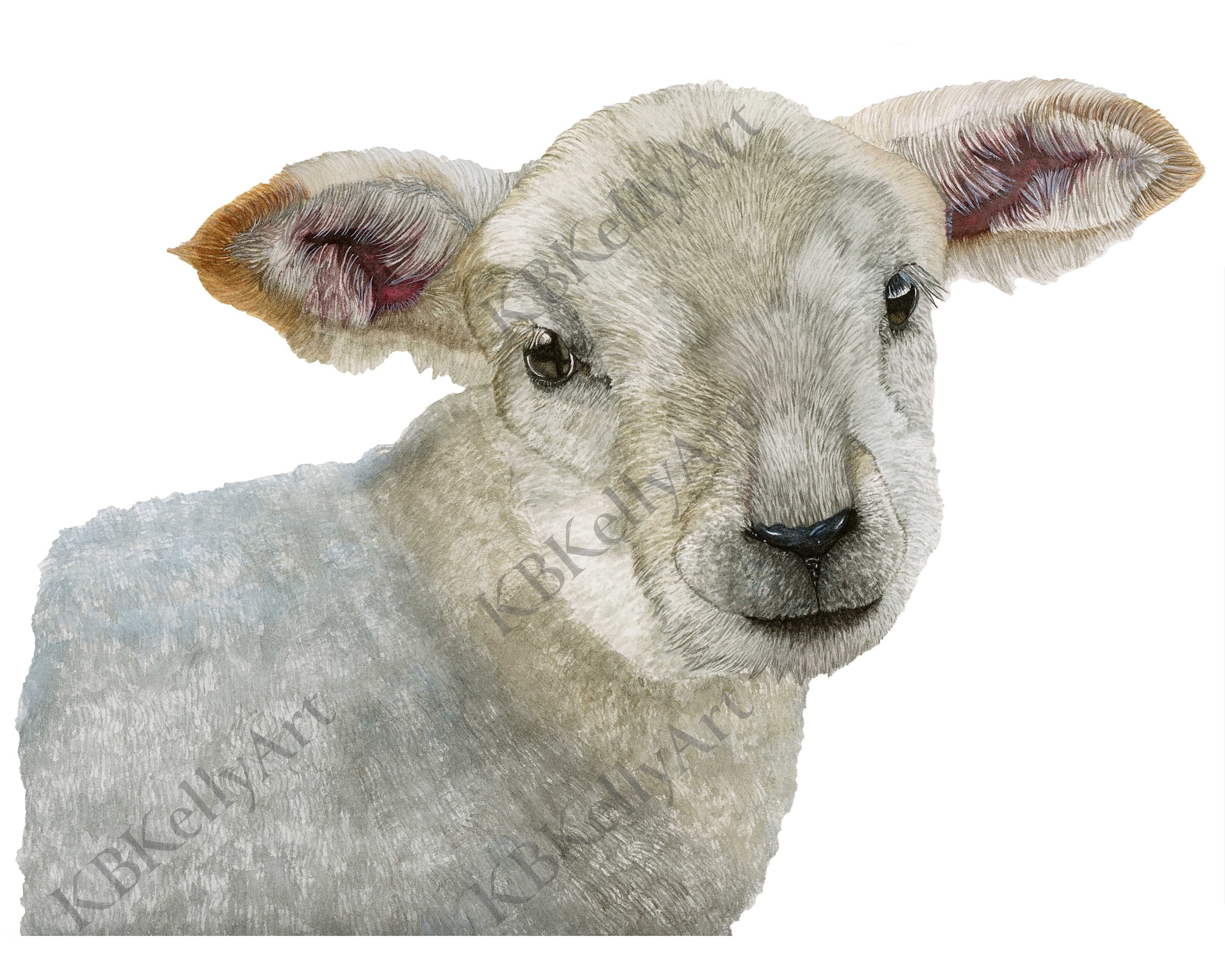 Lamb Watercolor Art Print Spring Lamb Print Lamb Painting Wall Art Farm ...