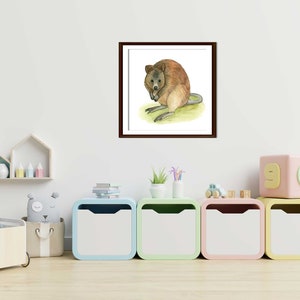 Watercolor Quokka Art Print, Australian Animal Nursery Print, Aussie ...