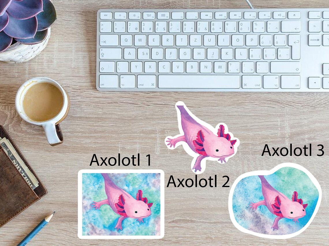 Axolotl Sticker Laminated Vinyl Sticker Water Resistant - Etsy