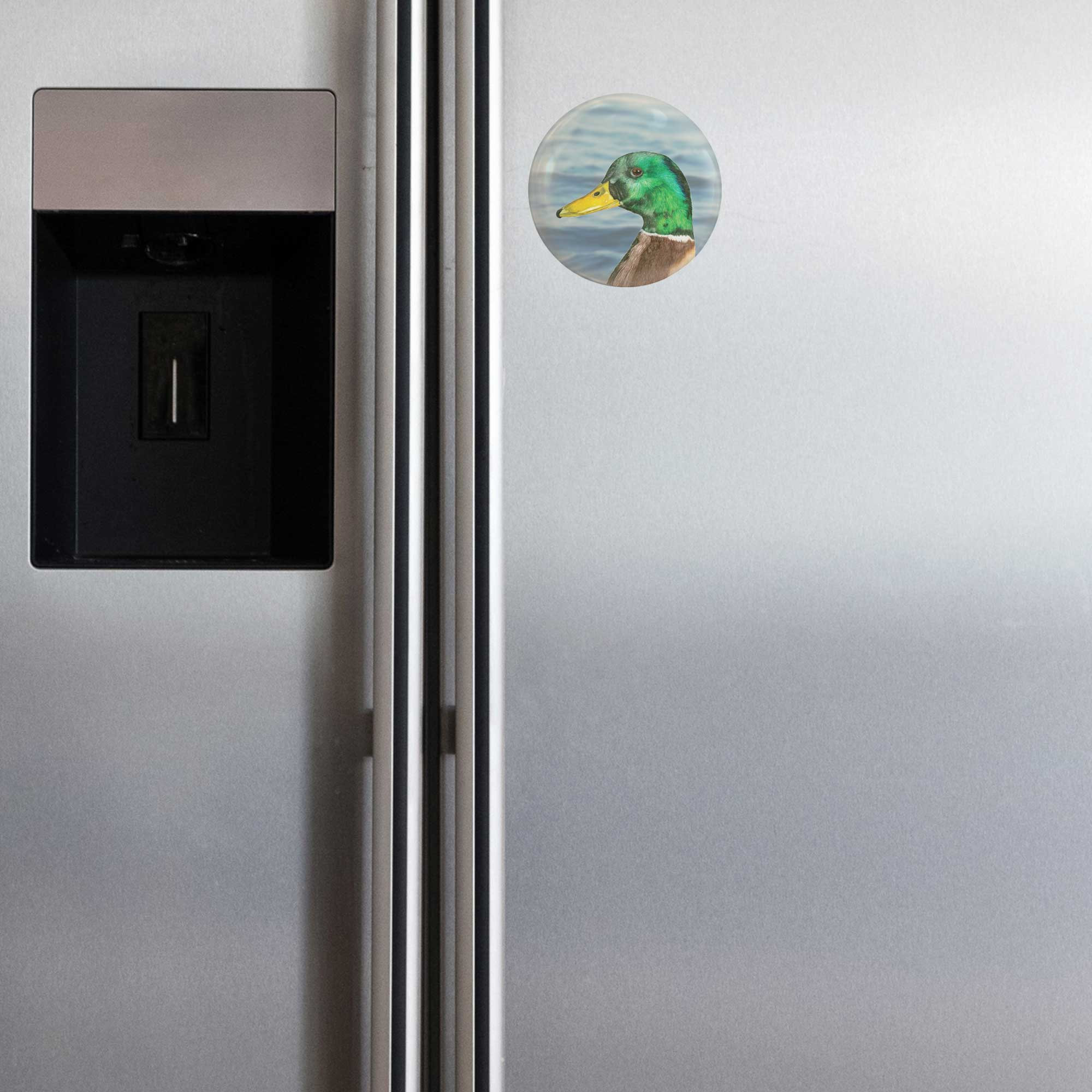 Bird Magnets Refrigerator Magnets Kitchen Decor Small Round Fridge ...