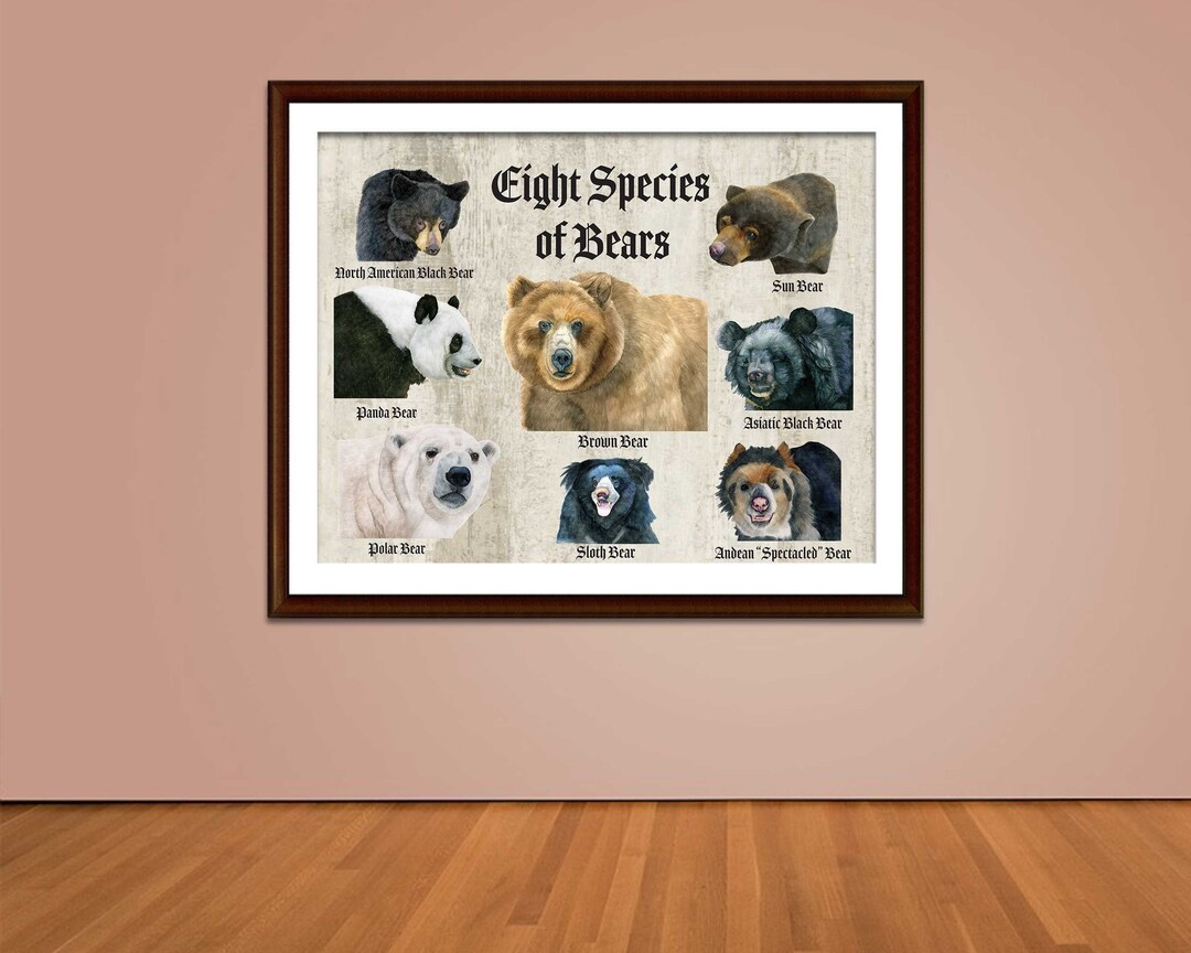Watercolor Eight Species of Bears Art Print. Bears of the World. Bear ...