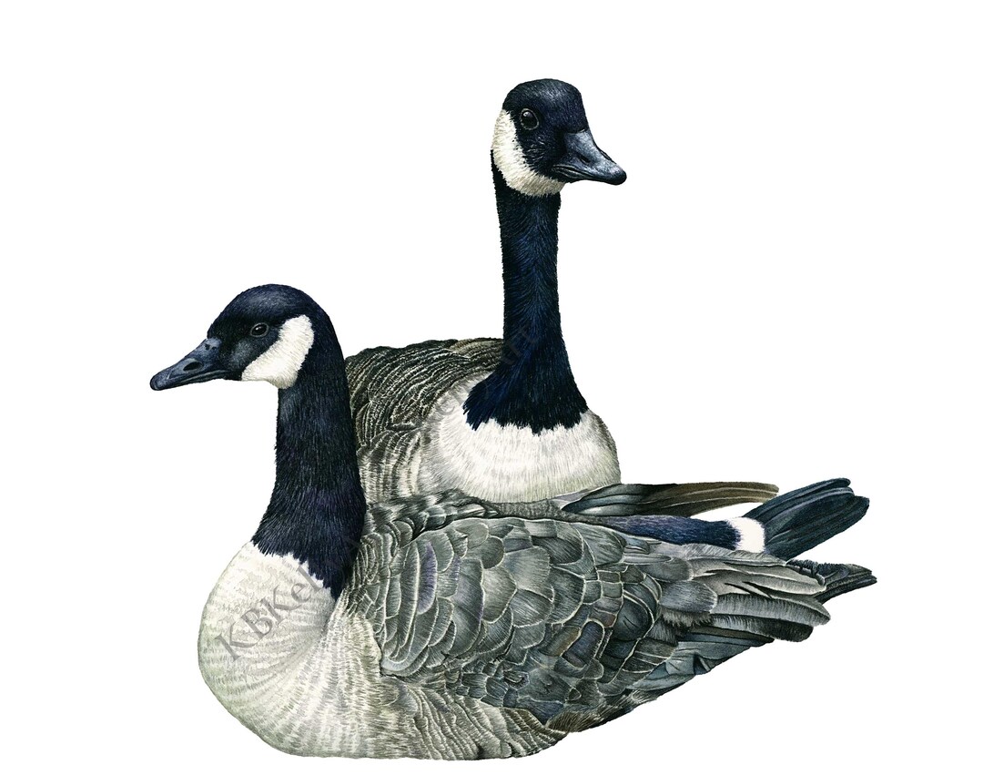 Goose Watercolor Art Print, Two Geese Painting, Goose Couple Wall Art ...