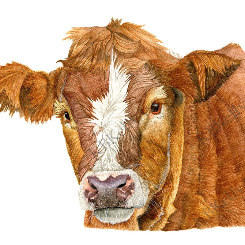 Cow Watercolor - Etsy