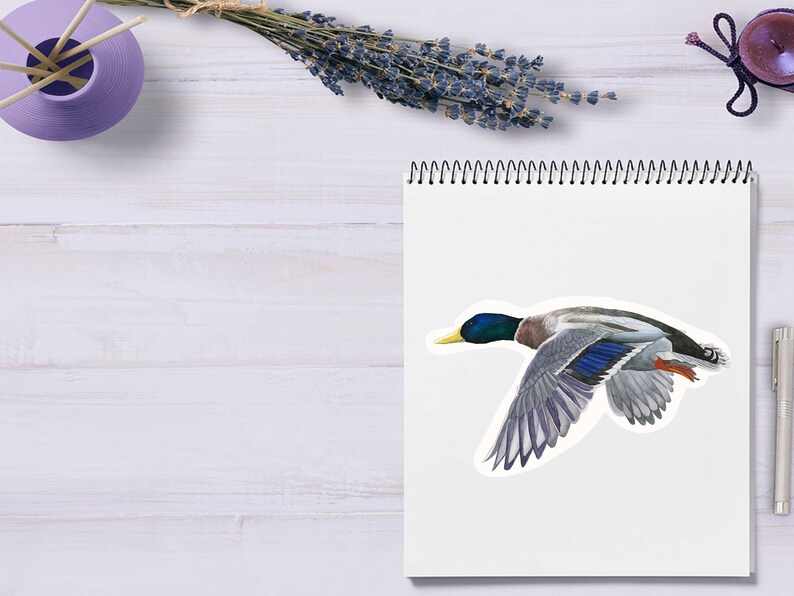 Mallard Duck Sticker, Flying Duck Sticker, Vinyl Laminated Die Cut ...