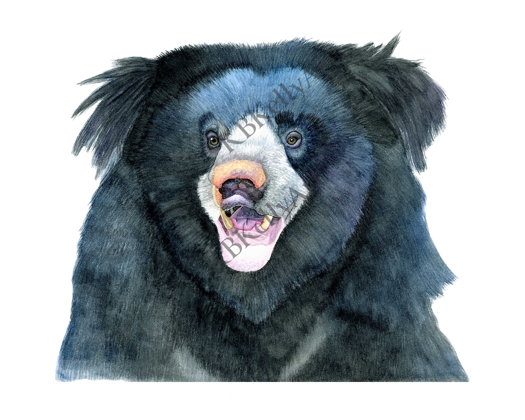 Sloth Bear Watercolor Print, Sloth Bear Art Print, Cabin Decor, Black ...