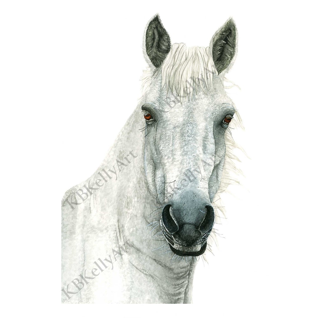 Horse Watercolor Art Print White Horse Painting Equestrian Print ...