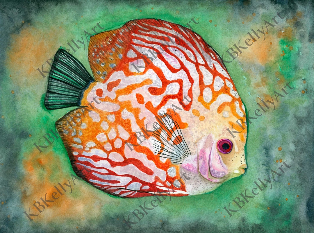 Discus Fish Watercolor Art Print, Fish Painting, Ocean Fish Art Print ...