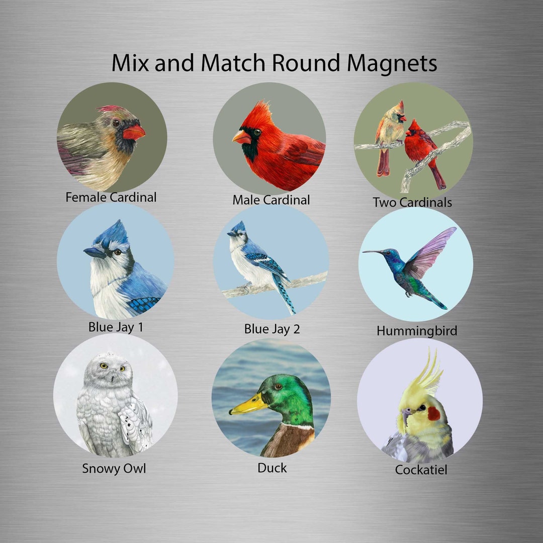 Bird Magnets Refrigerator Magnets Kitchen Decor Small Round Fridge ...
