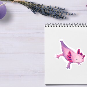 Axolotl Sticker, Laminated Vinyl Sticker Water Resistant, Axolotl Gifts ...