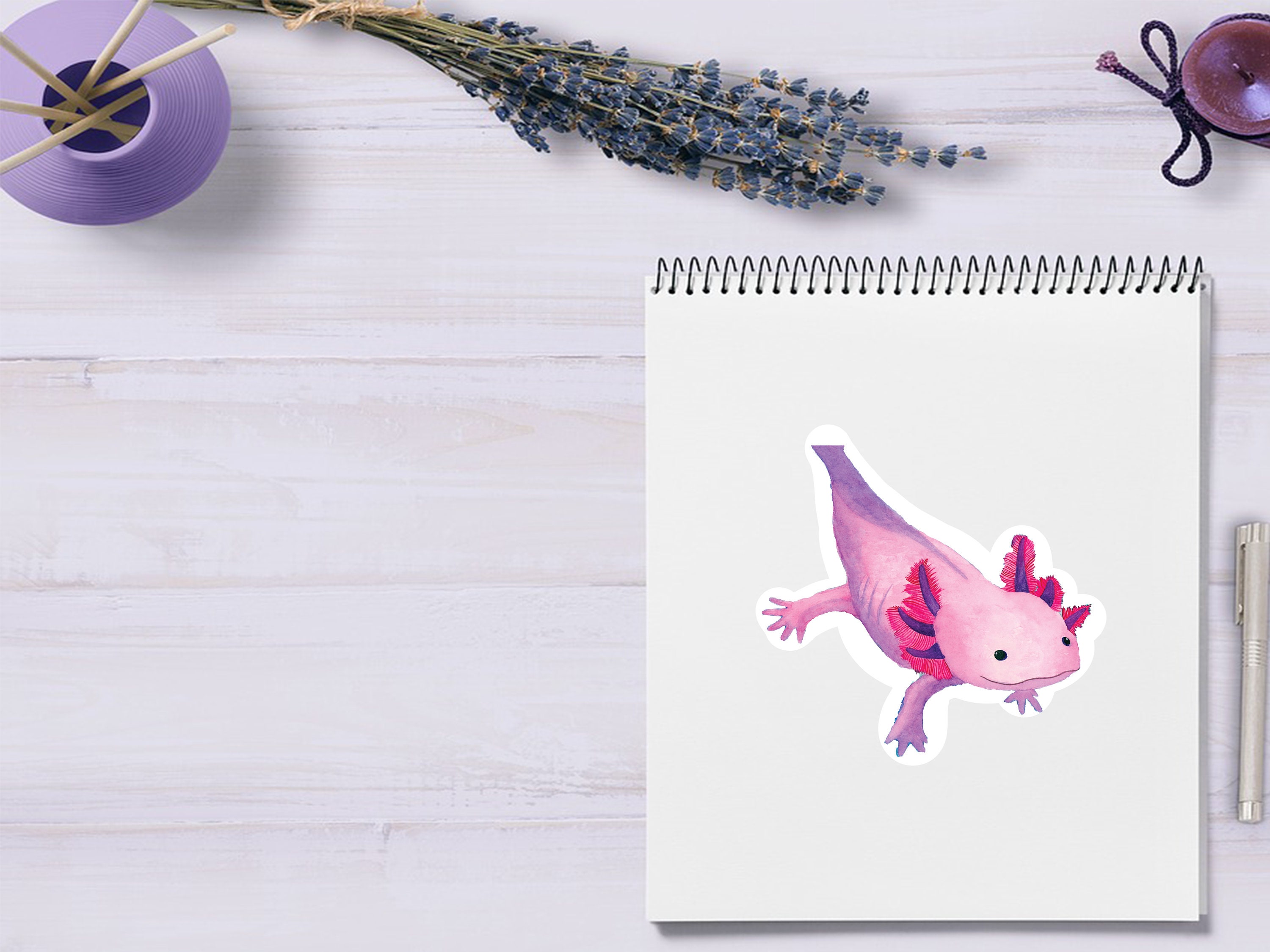 Axolotl Sticker, Laminated Vinyl Sticker Water Resistant, Axolotl Gifts ...