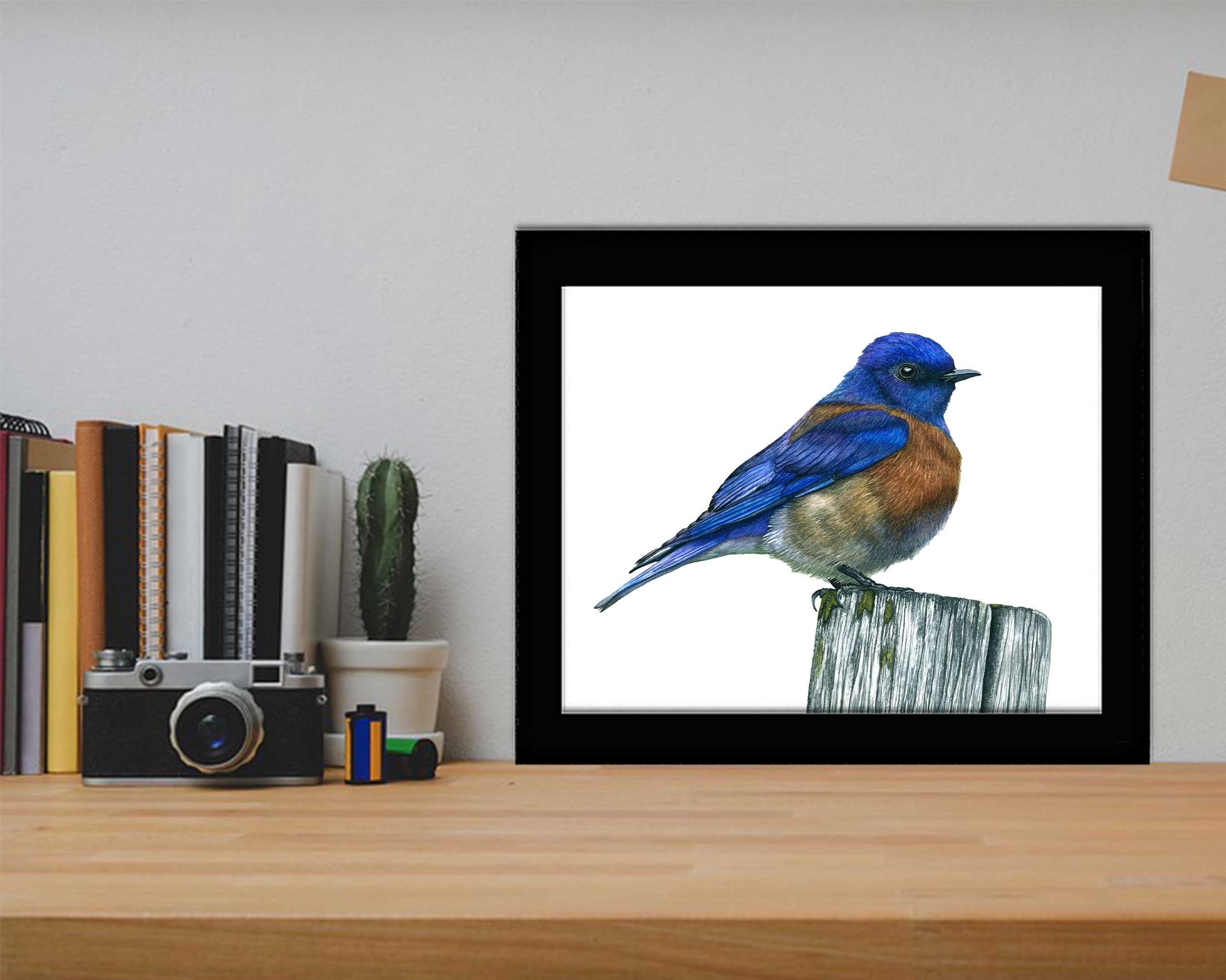 Bluebird Watercolor Art Print Blue Bird Wall Art Decor Eastern - Etsy
