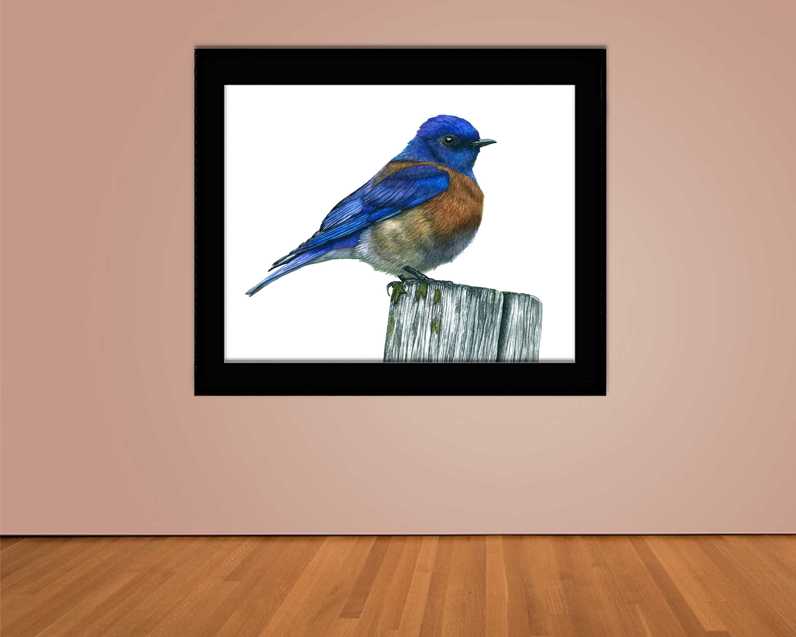 Bluebird Watercolor Art Print Blue Bird Wall Art Decor Eastern - Etsy
