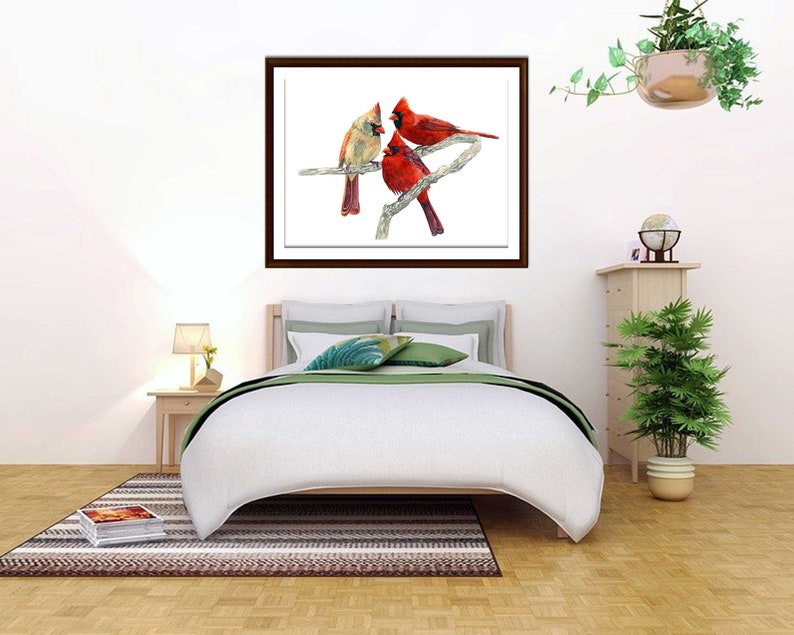 Three Cardinal Birds Realistic Watercolor Art Print. Male Cardinals and ...