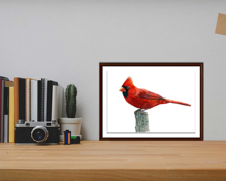 Male Cardinal Bird Watercolor Art Print, Red Cardinal Painting ...