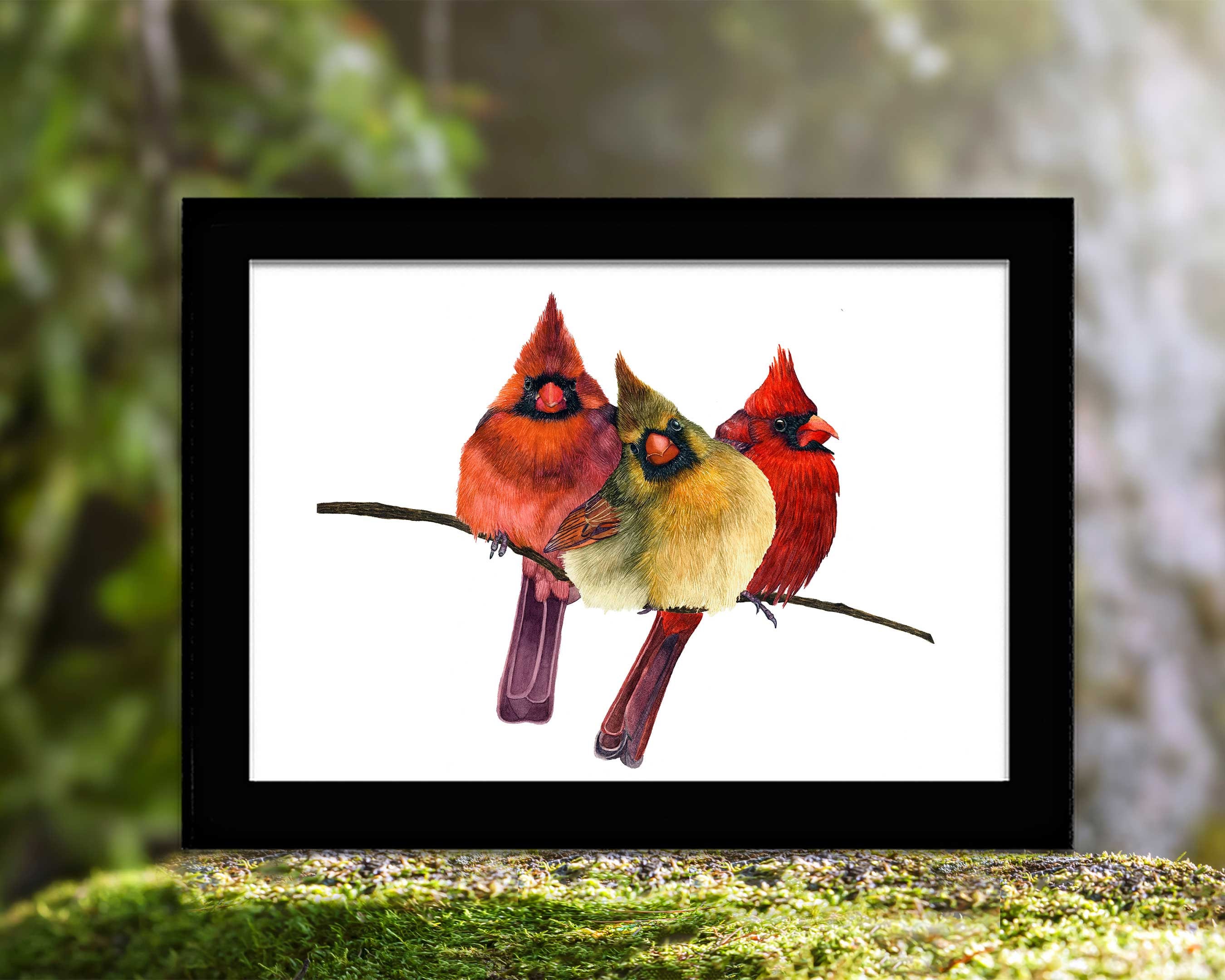Cardinals Watercolor Art Print Three Cardinals on Branch Cardinal ...