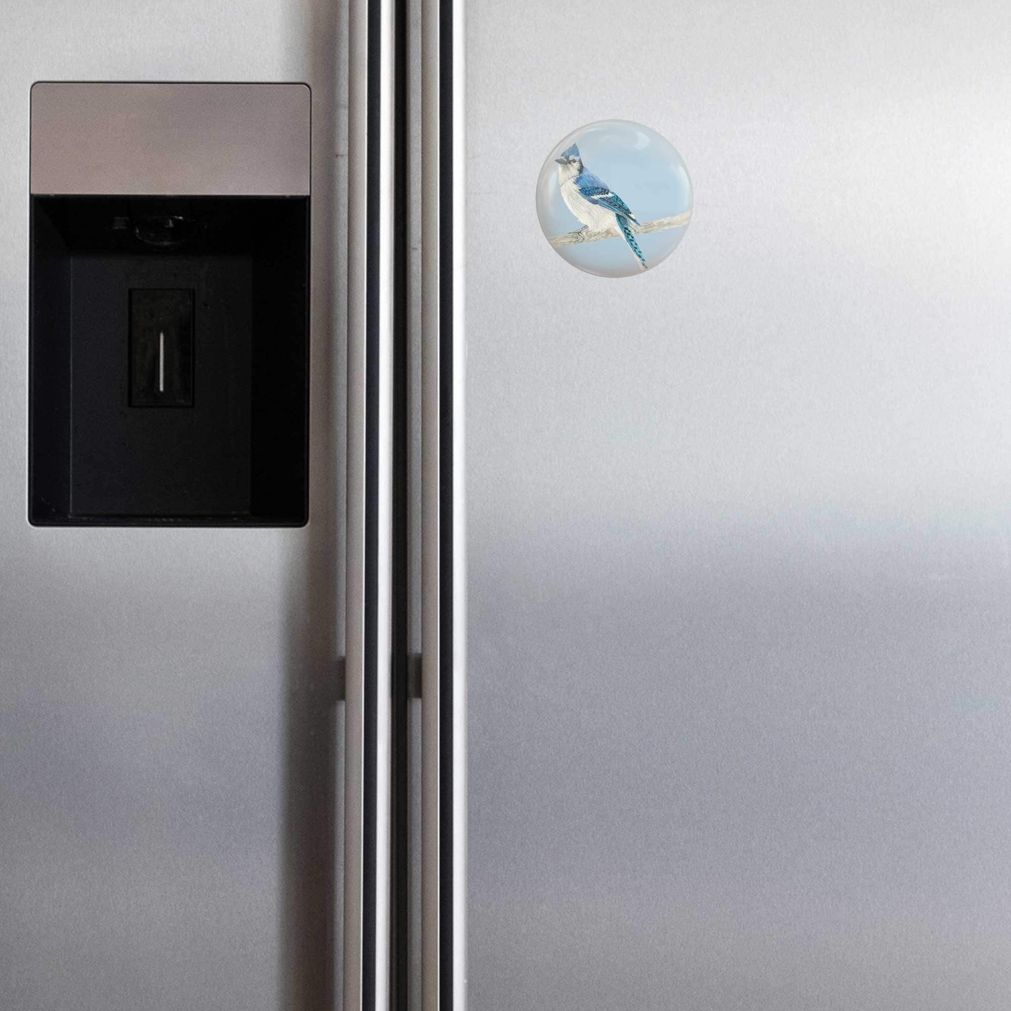 Bird Magnets Refrigerator Magnets Kitchen Decor Small Round Fridge ...