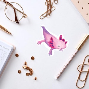 Axolotl Sticker, Laminated Vinyl Sticker Water Resistant, Axolotl Gifts ...