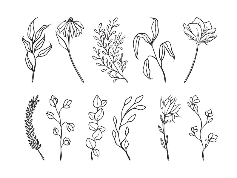 Botanical Svg Bundle Birth Flower Svg Wildflowers Svg Png - Etsy