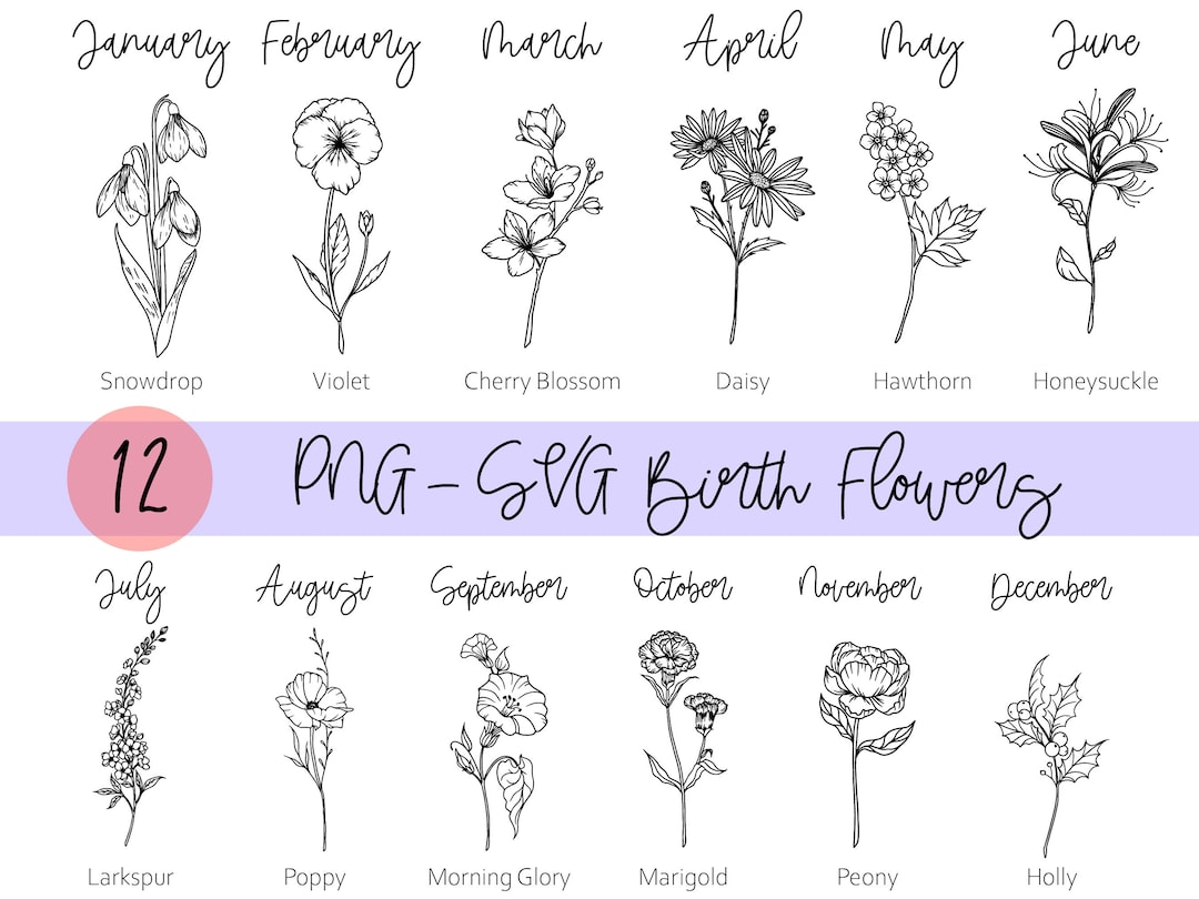 Birth Month Flowers Svg, Wildflowers PNG Bundle, Birthday Flower ...
