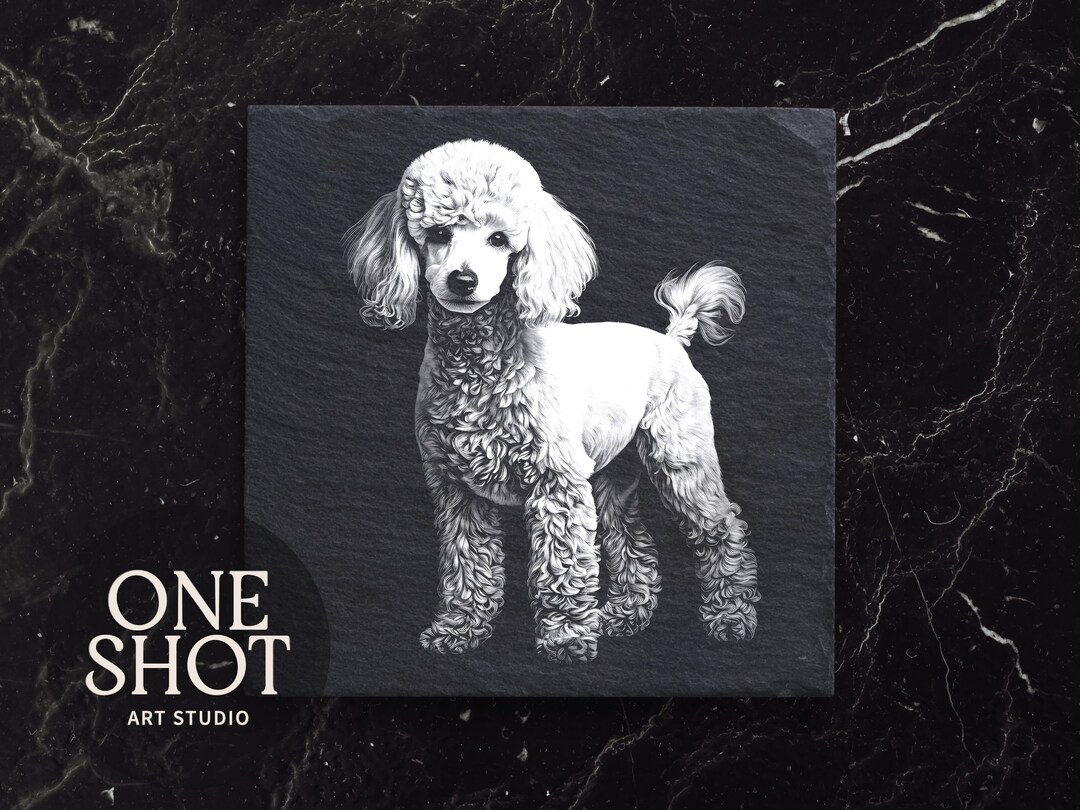 Poodle Laser Engraving Png, Slate Coaster Engraved, CNC Projects, CNC ...