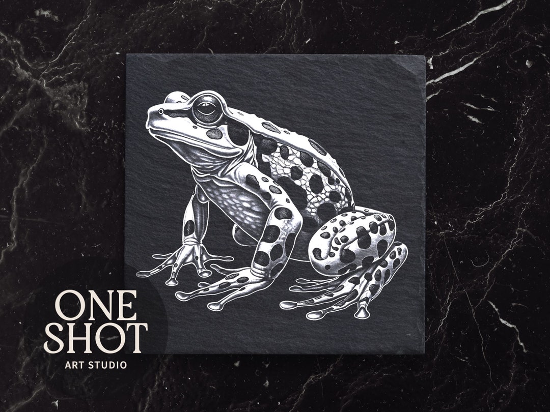 Frog Laser Engraving Png, Slate Coaster Engraved, CNC Projects, CNC ...