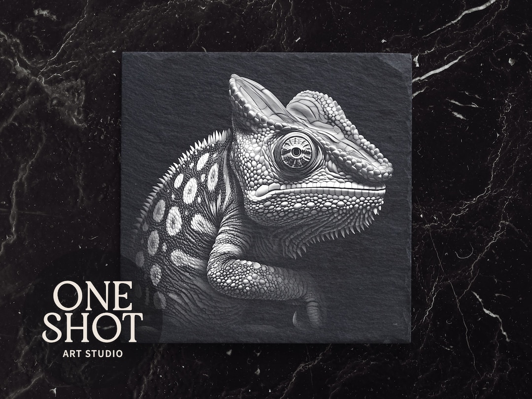Chameleon Laser Engraving Png, Slate Coaster Engraved, CNC Projects ...