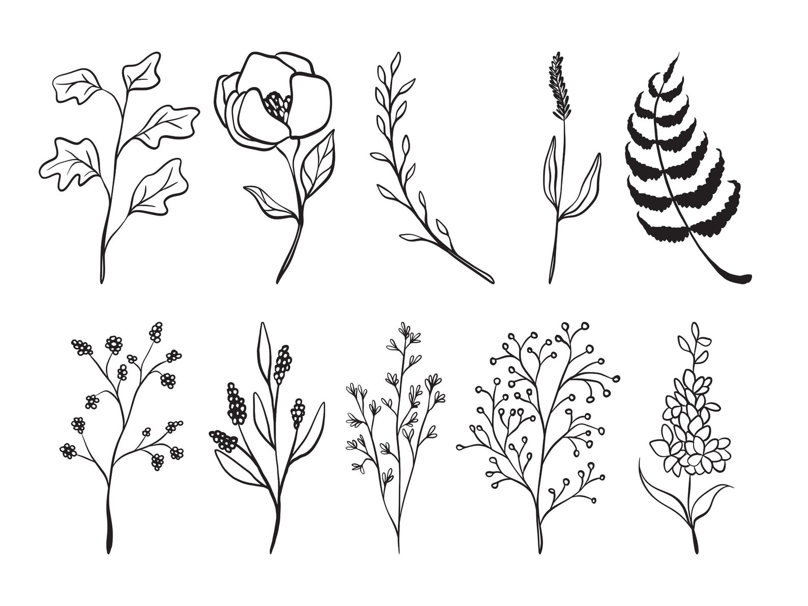 Botanical Svg Bundle Birth Flower Svg Wildflowers Svg Png - Etsy