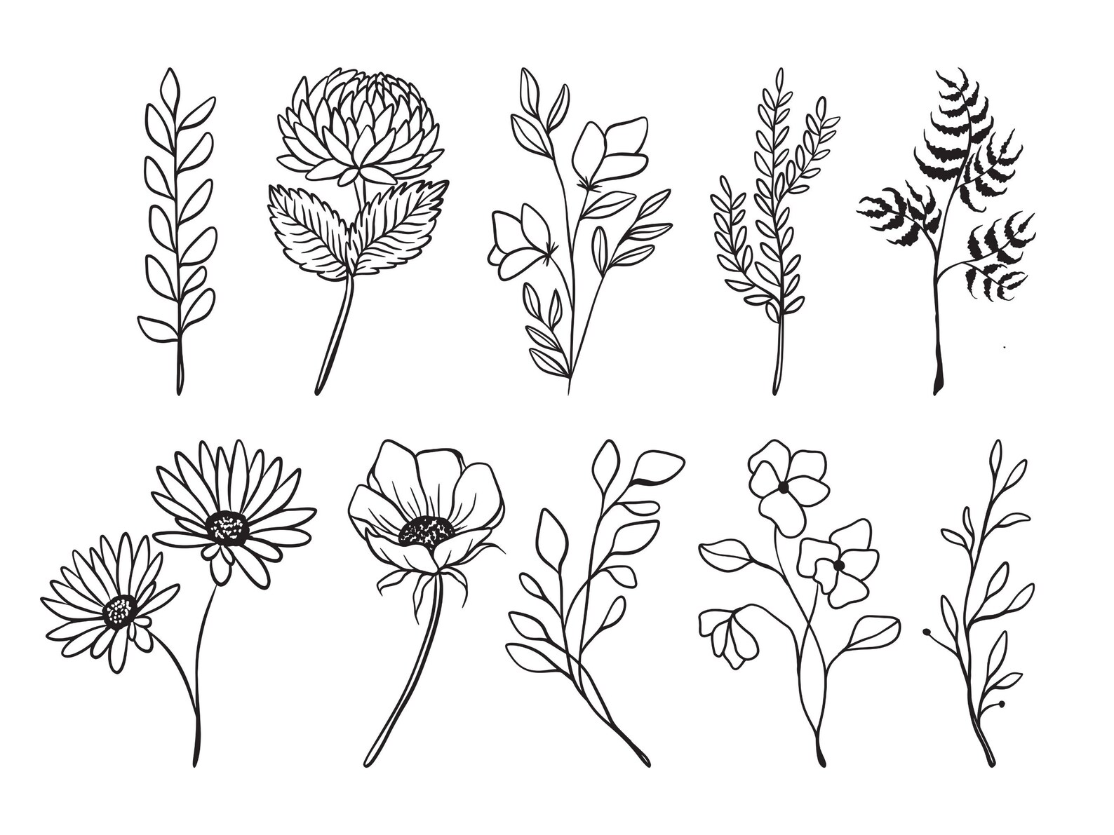 Botanical Svg Bundle Birth Flower Svg Wildflowers Svg Png - Etsy