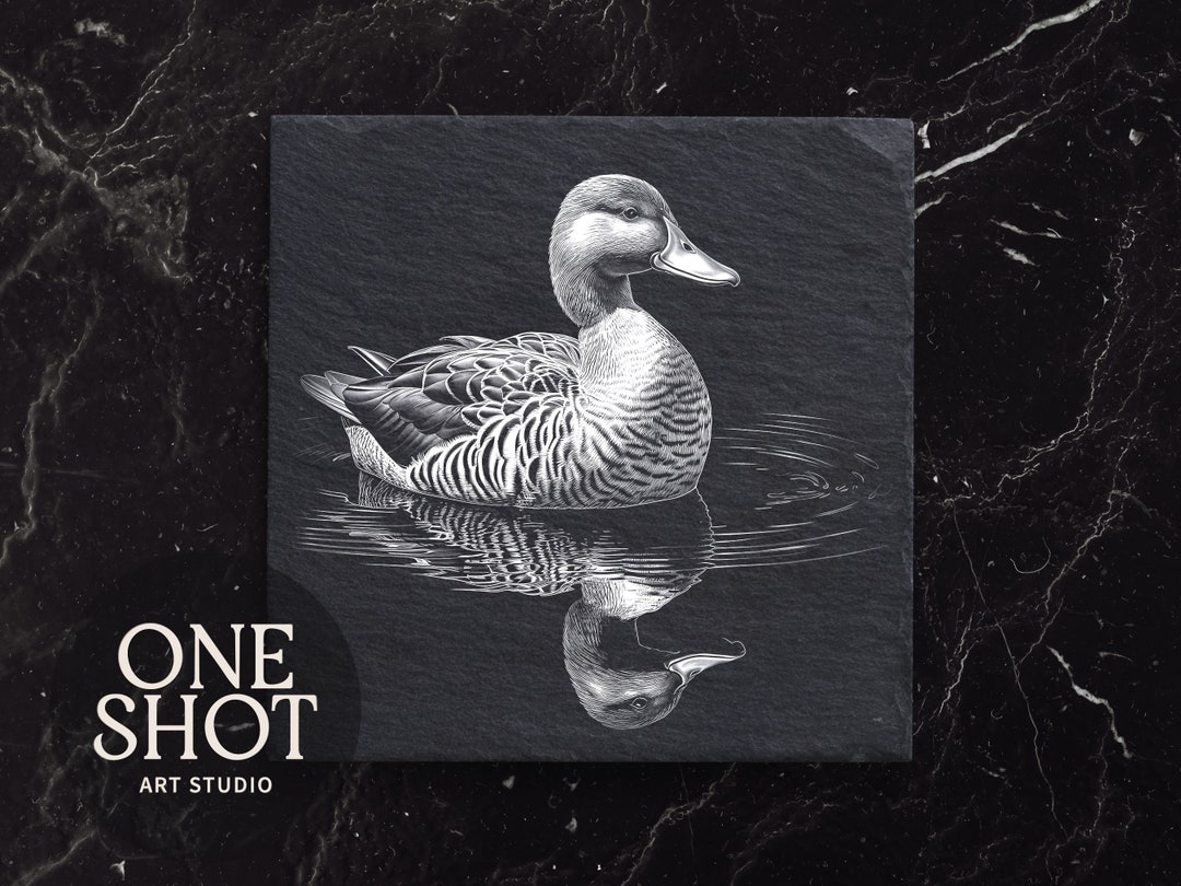 Duck Laser Engraving Png, Slate Coaster Engraved, CNC Projects, CNC ...