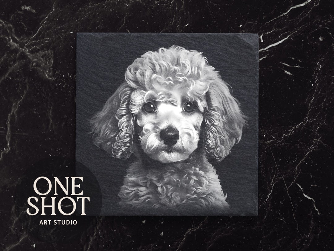 Poodle Laser Engraving Png, Slate Coaster Engraved, CNC Projects, CNC ...