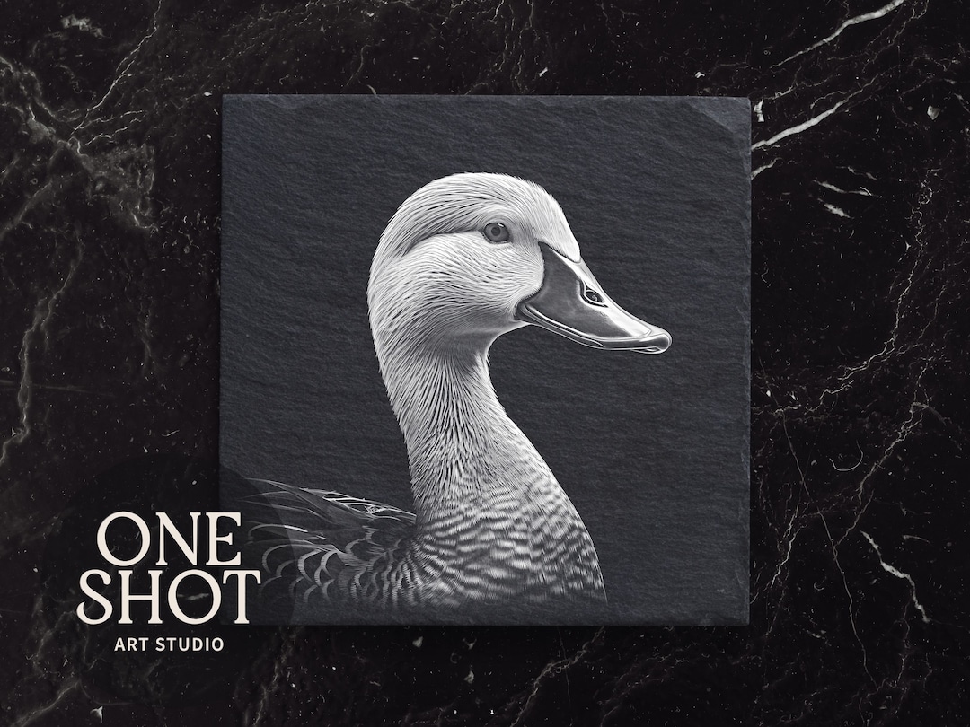 Duck Laser Engraving Png, Slate Coaster Engraved, CNC Projects, CNC ...