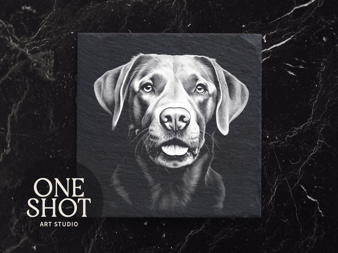 Labrador Retriever Laser Engraving Png, Slate Coaster Engraved, CNC ...