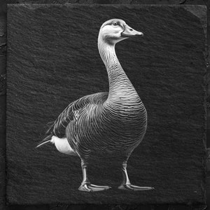 Goose Laser Engraving Png, Slate Coaster Engraved, CNC Projects, CNC ...