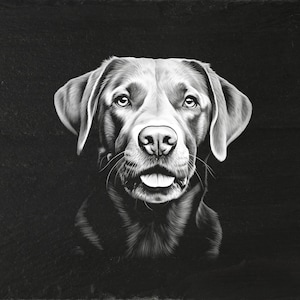 Labrador Retriever Laser Engraving Png, Slate Coaster Engraved, CNC ...