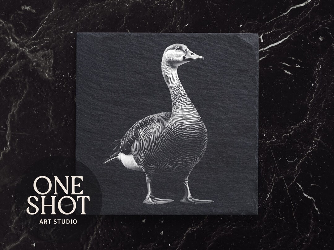 Goose Laser Engraving Png, Slate Coaster Engraved, CNC Projects, CNC ...