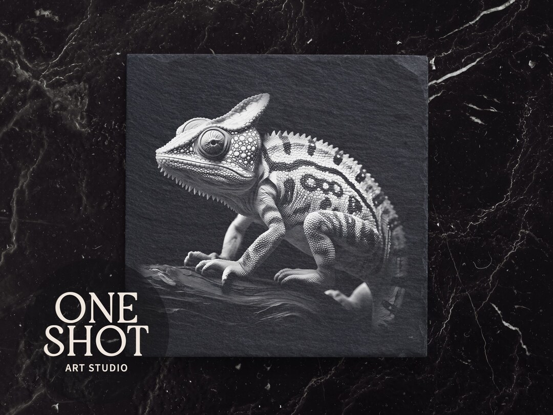 Chameleon Laser Engraving Png, Slate Coaster Engraved, CNC Projects ...