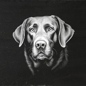 Labrador Retriever Laser Engraving Png, Slate Coaster Engraved, CNC ...