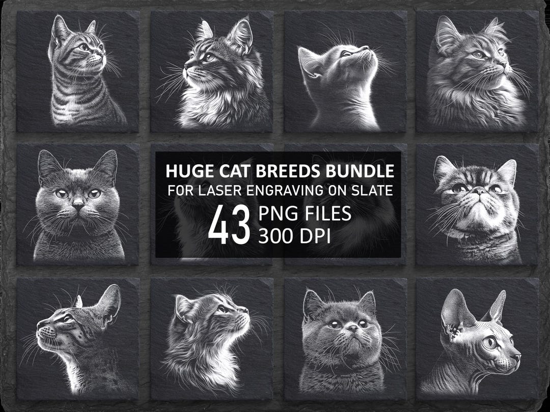 Cat Breeds Laser Engraving Png, Slate Coaster Engraved, CNC Projects ...