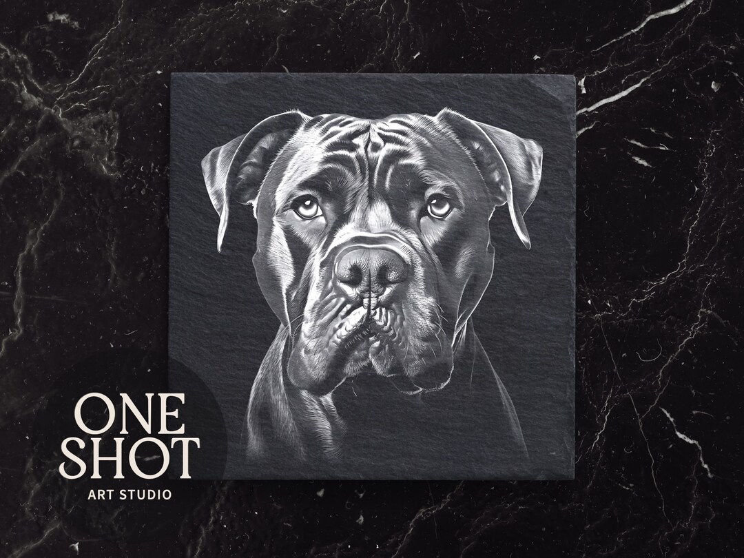 Cane Corso Laser Engraving Png, Slate Coaster Engraved, CNC Projects ...