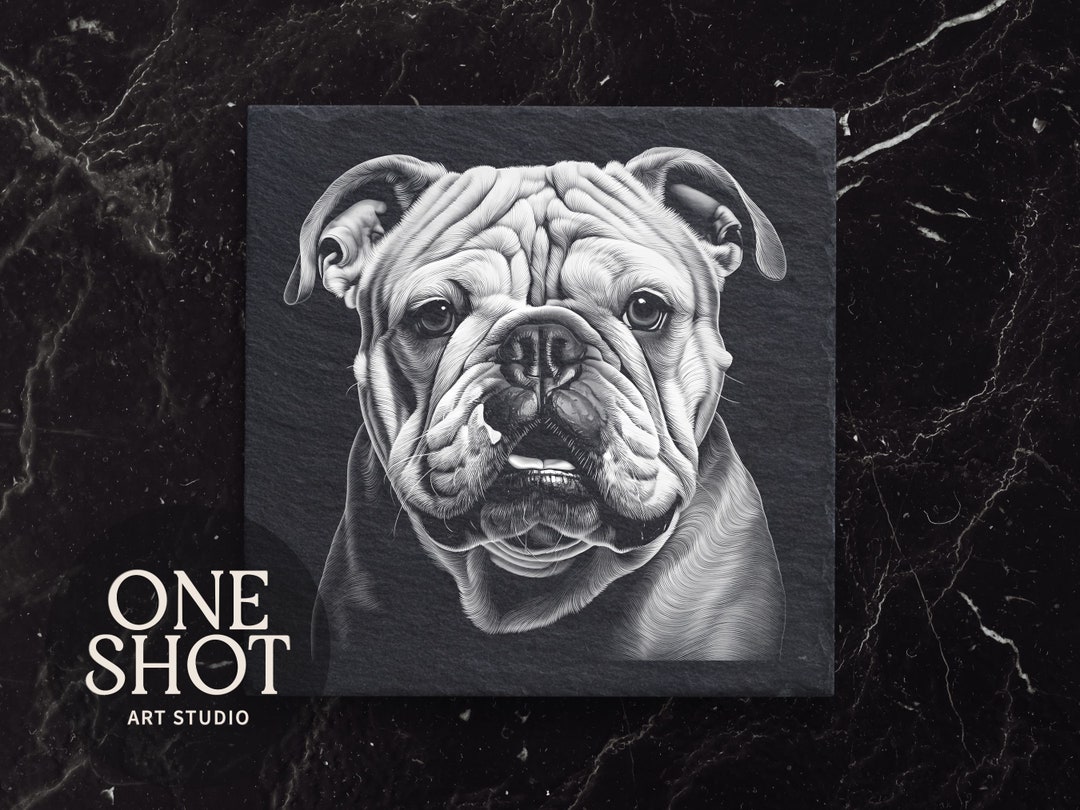 Bulldog Laser Engraving Png, Slate Coaster Engraved, CNC Projects, CNC ...