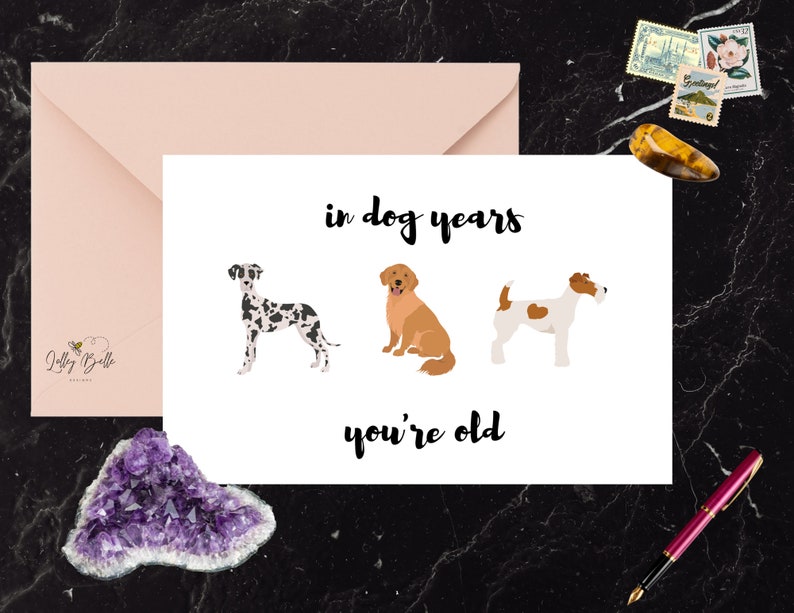 Funny Old Age Printable Birthday Card Pack - Etsy