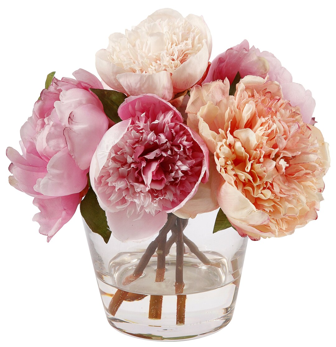 Peony in Glass Vase - Etsy