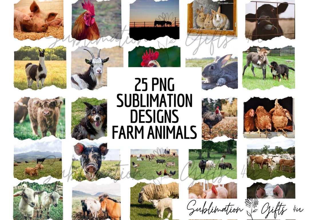 Farm Animals Sublimation Designs, Southern Background PNG, Country ...
