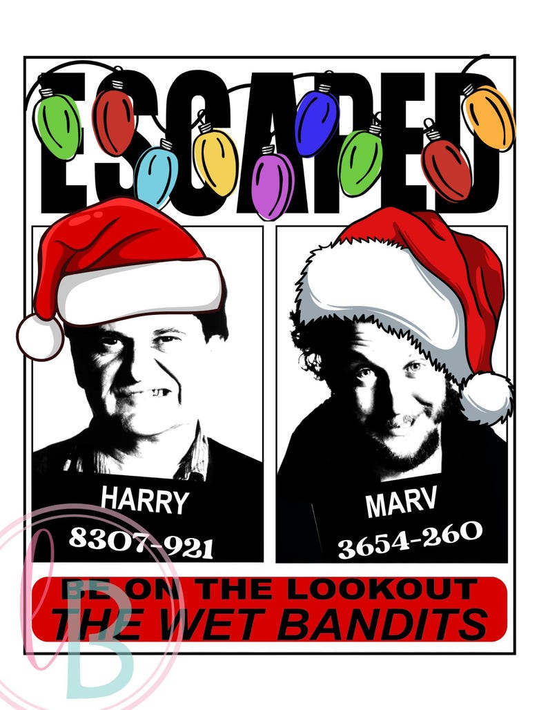 The Wet Bandits, the Sticky Bandits, Home Alone, Christmas Movie, Png ...