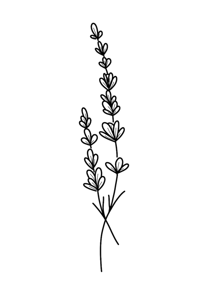 Lavender Art Print Digital Download JPEG - Etsy