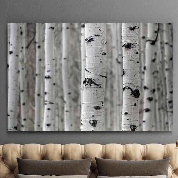 Birch Canvas Art - Etsy