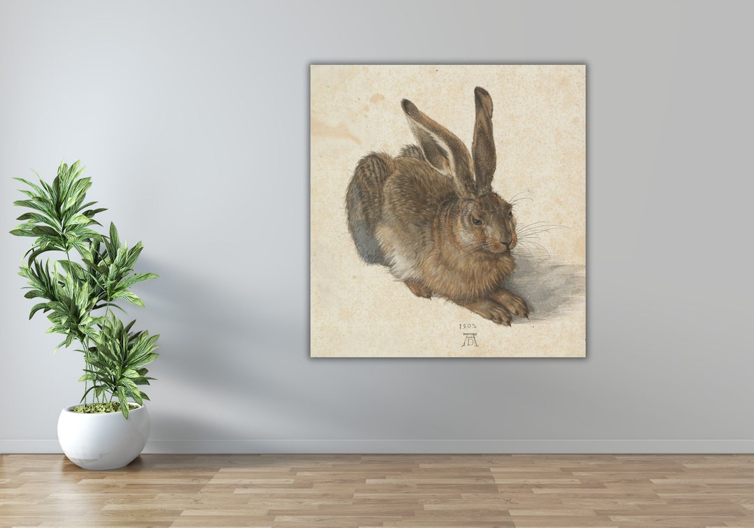 Young Hare Albrecht Durer Art Canvas Print,animal Canvas,albrecht Durer ...