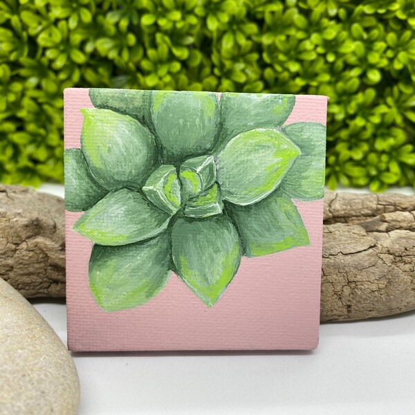 Succulent Painting - Etsy