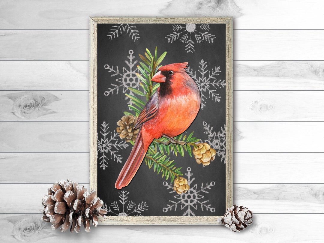 Red Cardinal Bird, Winter Wall Art, Digital Download, Winter Birds ...